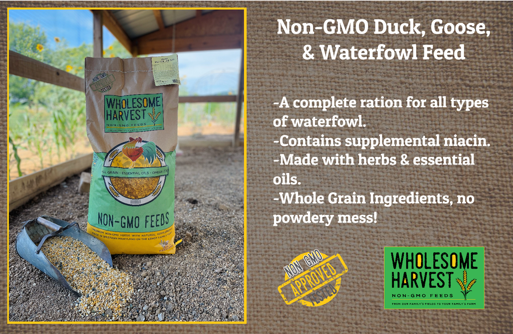 Wholesome Harvest Duck Goose Waterfowl Feed Ernst Grain Livestock